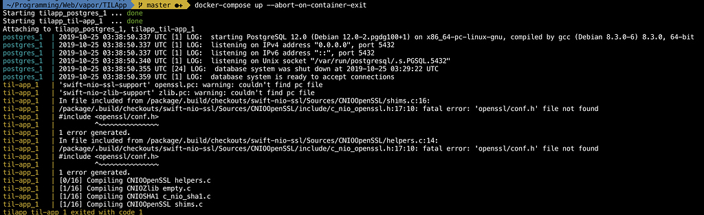 Chapter 11 Testing On Linux Fails Possibly Outdated Dependencies Server Side Swift With